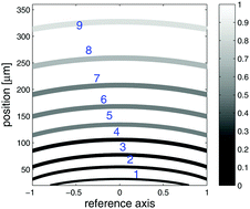 Nonequilibrium self-assembly induced Liesegang rings in a non ...