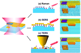 Tip-enhanced Raman spectroscopy for surfaces and interfaces - Chemical ...