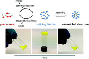 Dissipative out-of-equilibrium assembly of man-made supramolecular ...