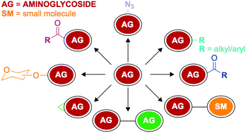 Aminoglycosides