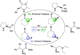 Iminium and enamine catalysis in enantioselective photochemical ...