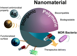 Combatting antibiotic-resistant bacteria using nanomaterials - Chemical ...