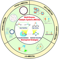 Bioinspired construction of multi-enzyme catalytic systems - Chemical ...