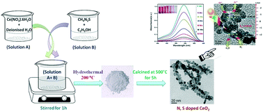 Enhanced visible light harnessing and oxygen vacancy promoted N, S co ...