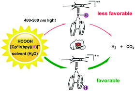 Mechanistic insights into the light-driven hydrogen evolution reaction ...