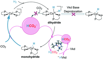 DFT study of CO2 hydrogenation catalyzed by a cobalt-based system: an ...