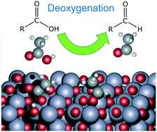 The role of oxygen vacancies in biomass deoxygenation by reducible zinc ...