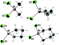Molecular structures of various alkyldichlorosilanes in the solid state ...