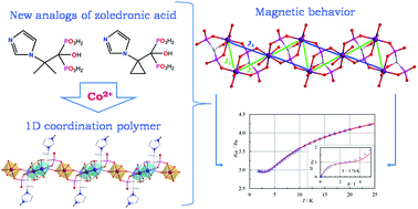 Two isomorphous Co(ii) coordination polymers based on new α,α ...