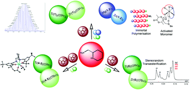 Ligands and complexes based on piperidine and their exploitation of the ...