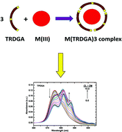 Complexation of tetraalkyl diglycolamides with trivalent f-cations in a ...