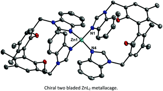 Chiral two bladed ML2 metallamacrocycles: design, structures and ...