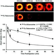 99mTc-3Cboroxime: a novel 99mTc(iii) complex [99mTcCl(CDO)(CDOH)2B-3C ...