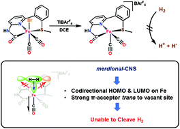 Substitution reactions of iron(ii) carbamoyl-thioether complexes ...