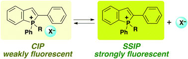 Effects of counter anions, P-substituents, and solvents on optical and ...