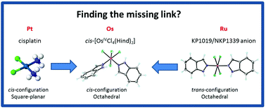 cis-Tetrachlorido-bis(indazole)osmium(iv) and its osmium(iii) analogues ...