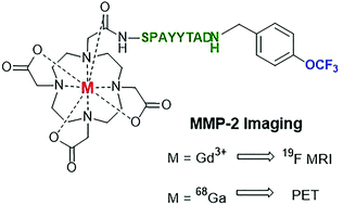 Towards an MMP-2-activated molecular agent for cancer imaging - Dalton ...