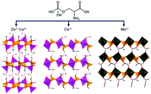 Zinc(ii), cobalt(ii) and manganese(ii) networks with phosphoserine ligand: synthesis, crystal ...