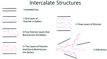 Self-assembling nanostructured intercalates via ion–dipole bonding ...