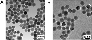 Nano-graphene oxide-UCNP-Ce6 covalently constructed nanocomposites for ...