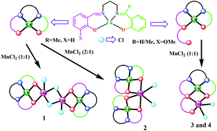 Control of nuclearity in heterometallic CuII–MnII complexes derived ...