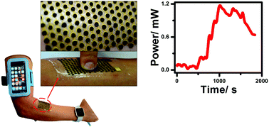 Soft, stretchable, high power density electronic skin-based biofuel ...