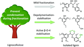 Lignin-first biomass fractionation: the advent of active stabilisation ...