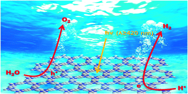 Efficient visible light-driven water oxidation and proton reduction by ...