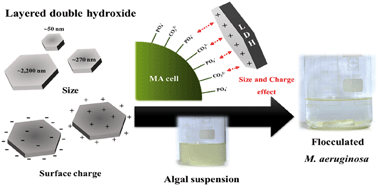 Size- and surface charge-controlled layered double hydroxides for ...