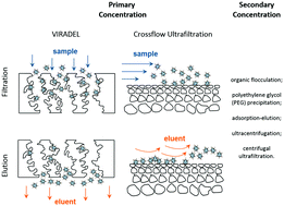 Membrane-based methods of virus concentration from water: a review of ...