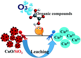 Metallic ion leaching from heterogeneous catalysts: an overlooked ...