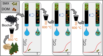 Influence of biochar thermal regeneration on sulfamethoxazole and dissolved organic matter ...