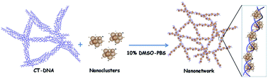 Chiral self-assembly of fullerene clusters on CT-DNA templates ...