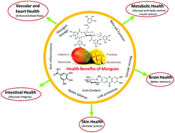 Mangos and their bioactive components: adding variety to the fruit ...