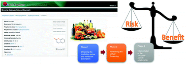 In silico genotoxicity of coumarins: application of the Phenol-Explorer ...