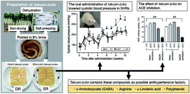 The salted radish takuan-zuke shows antihypertension effects in ...