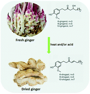 Occurrence, biological activity and metabolism of 6-shogaol - Food ...