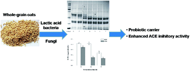 Whole-grain oats (Avena sativa L.) as a carrier of lactic acid bacteria ...