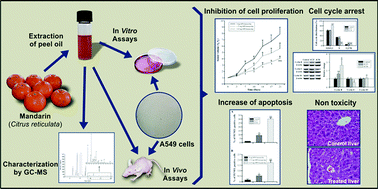 Citrus reticulata peel oil inhibits non-small cell lung cancer cell ...