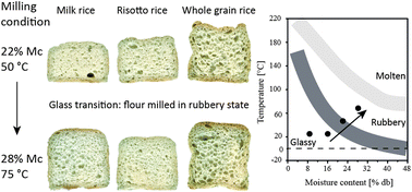 Tailoring rice flour structure by rubbery milling for improved gluten ...
