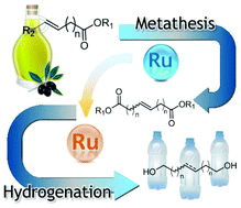 Long-chain α–ω diols from renewable fatty acids via tandem olefin ...