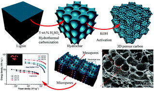 Enzymatic hydrolysis lignin derived hierarchical porous carbon for ...