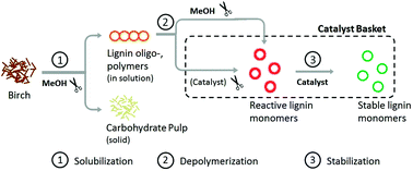 Integrating lignin valorization and bio-ethanol production: on the role of Ni-Al2O3 catalyst ...