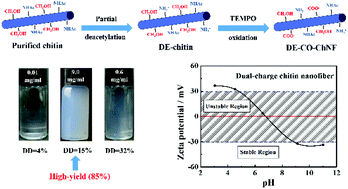 High-yield preparation of a zwitterionically charged chitin nanofiber ...