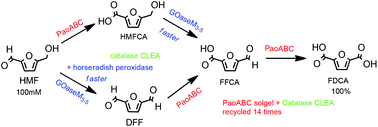The continuous oxidation of HMF to FDCA and the immobilisation and ...