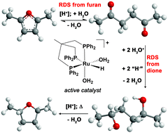 [Ru(triphos)(CH3CN)3](OTf)2 as a homogeneous catalyst for the ...