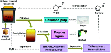 A strategy for generating high-quality cellulose and lignin ...