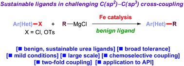 Cyclic ureas (DMI, DMPU) as efficient, sustainable ligands in iron ...