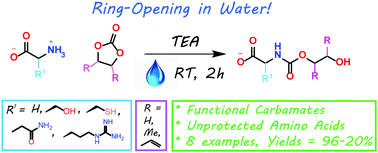 Synthesis of highly functional carbamates through ring-opening of ...