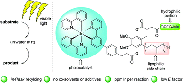 PQS-enabled visible-light iridium photoredox catalysis in water at room ...
